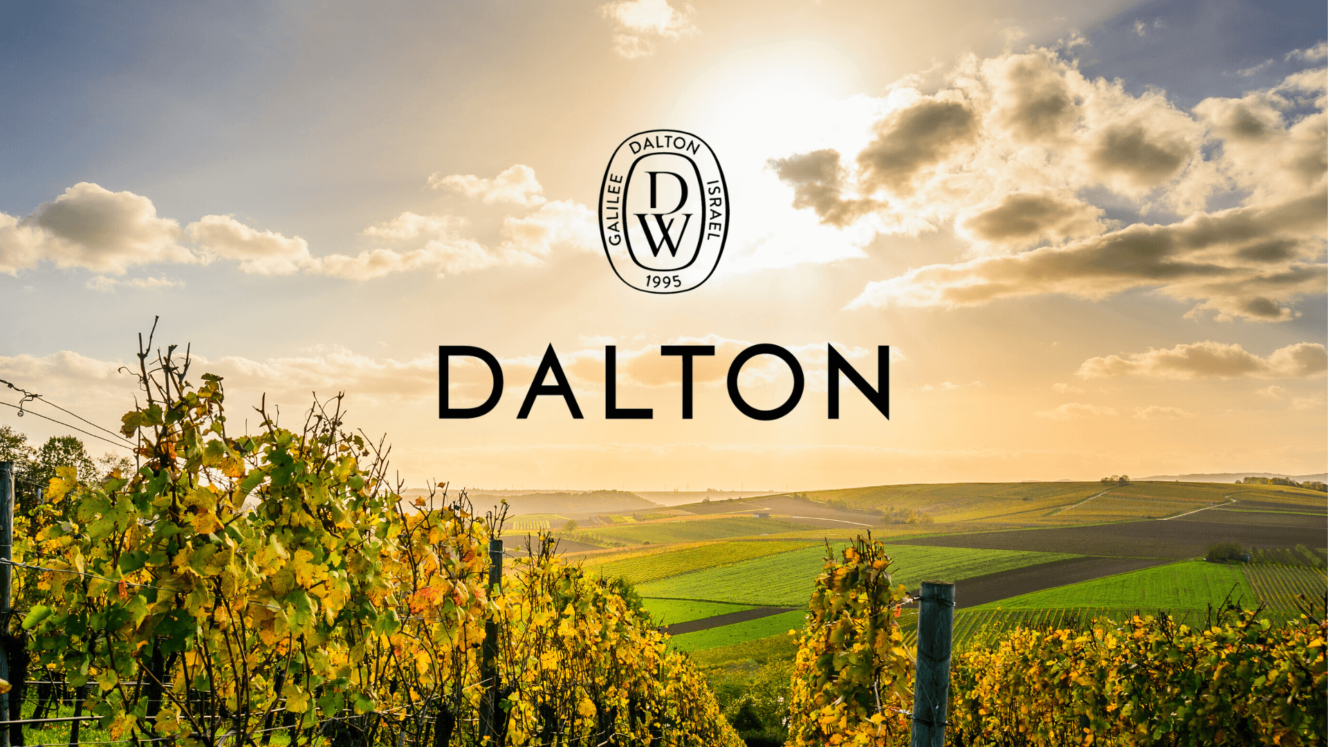 Dalton Winery – IsraelWein.de - Christine Awiszus