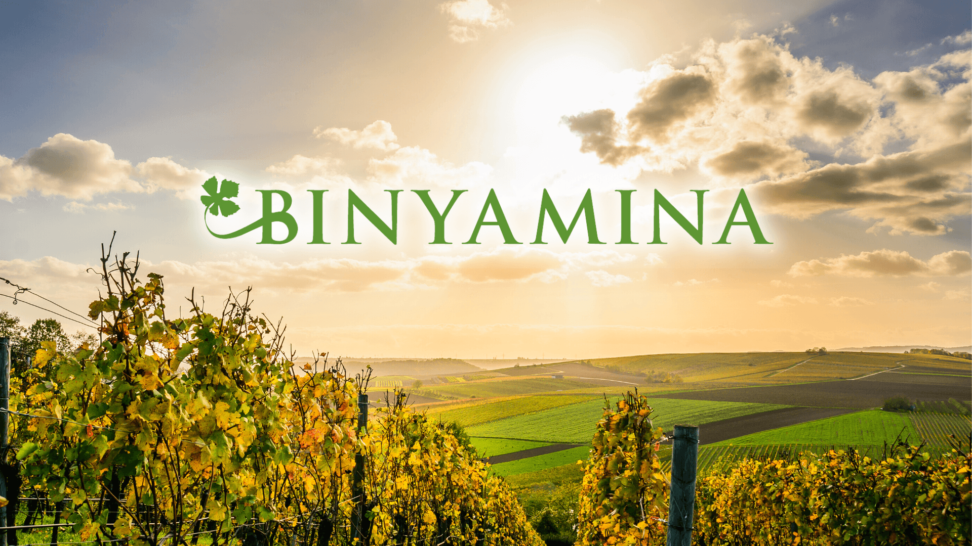 Binyamina Winery – IsraelWein.de - Christine Awiszus